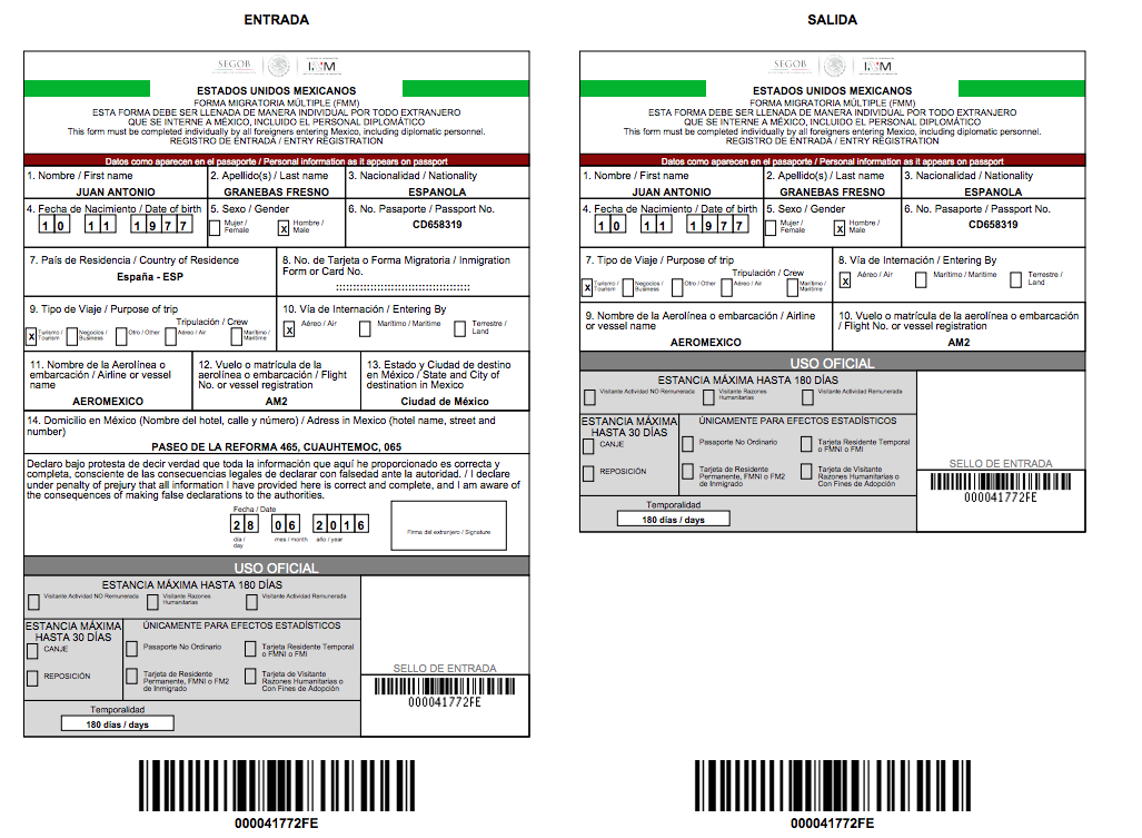 メキシコ行きフライト チェックイン【2022GW】 ANA直行便 メキシコ旅#1 | Lena tavi